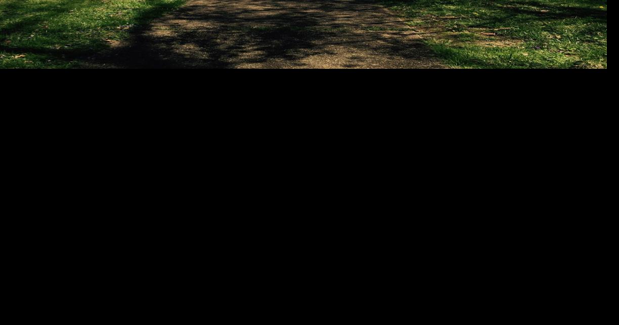 Colonial life celebration at Carter Mansion