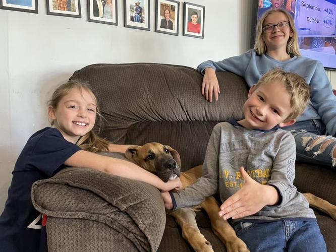 Graves County family searching for lost service dog | | heraldledger.com