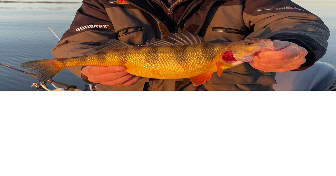 Barkley perch sets record; LBL’s new season opens | Uncategorized ...