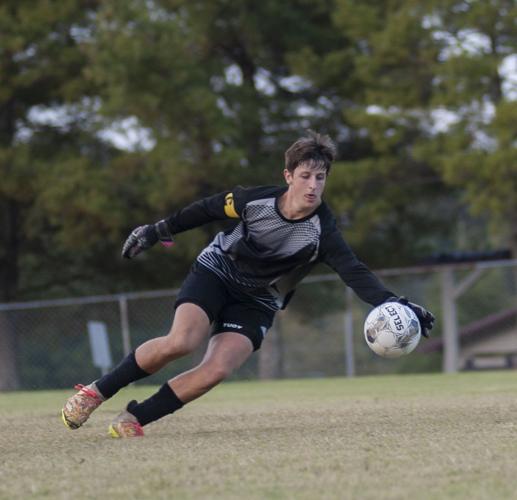 Lyons suffer 11-1 loss to Mayfield | Uncategorized | heraldledger.com