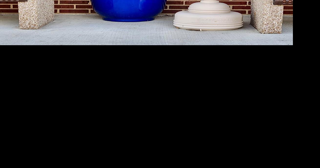 Pinwheels placed for child abuse awareness | Uncategorized ...