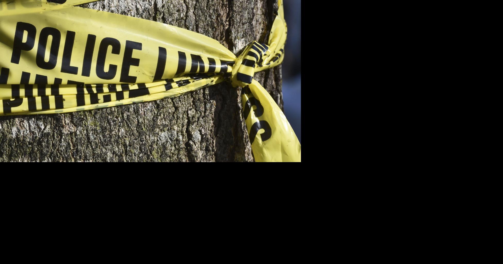 Conover Police chief: Backyard remains are human male