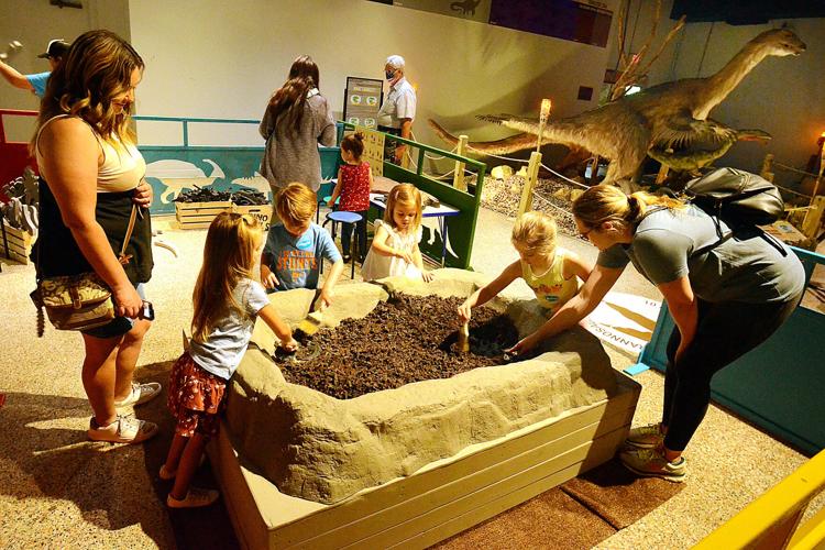 13-dinosaur exhibit opens at Catawba Science Center on Saturday