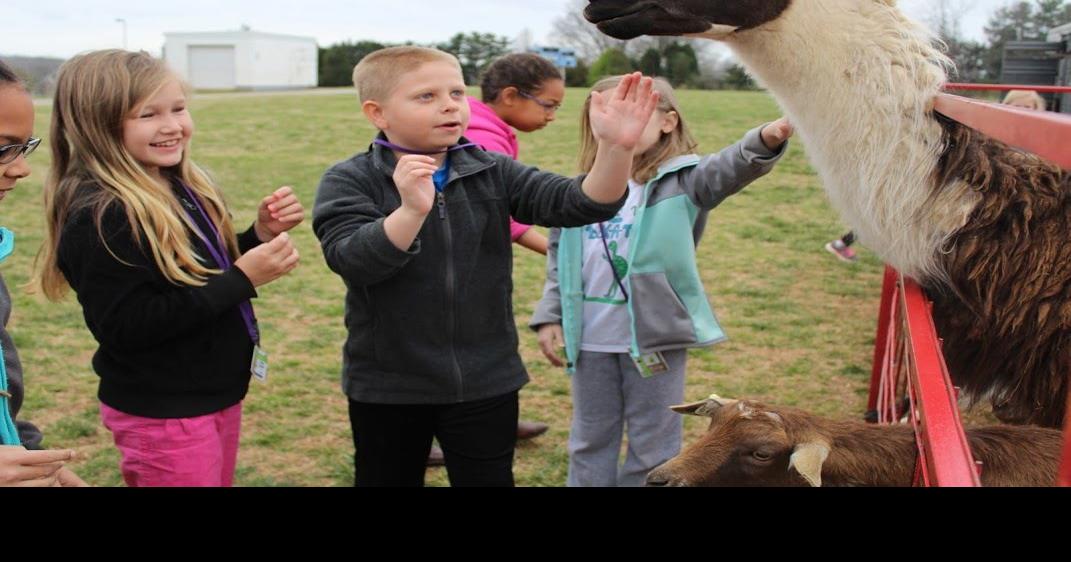 Tuttle Elementary School students glimpse Catawba County’s career potential