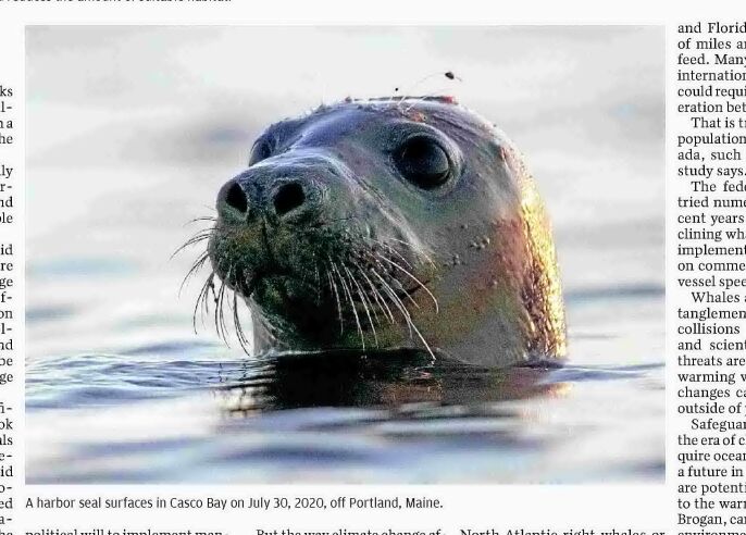 Marine life at grave risk, US climate study shows