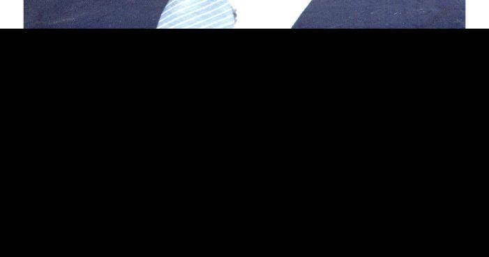 Hoke Jr., Charles R.