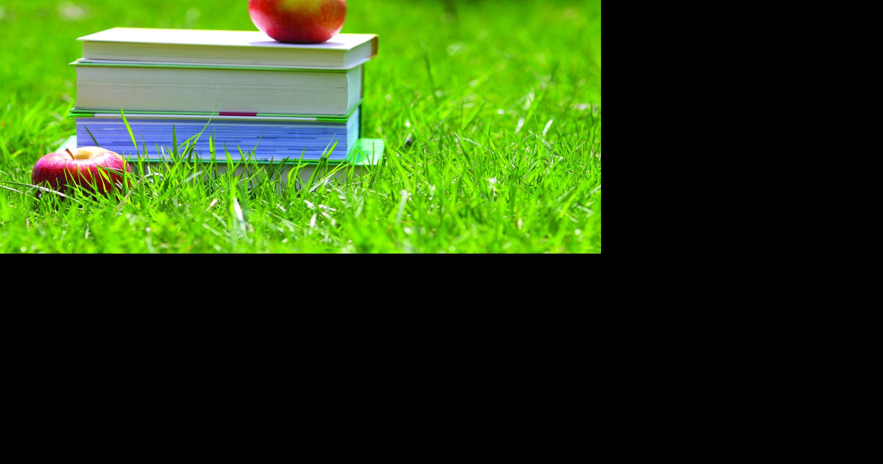 School smarts: NC’s Academically or Intellectually Gifted program ...