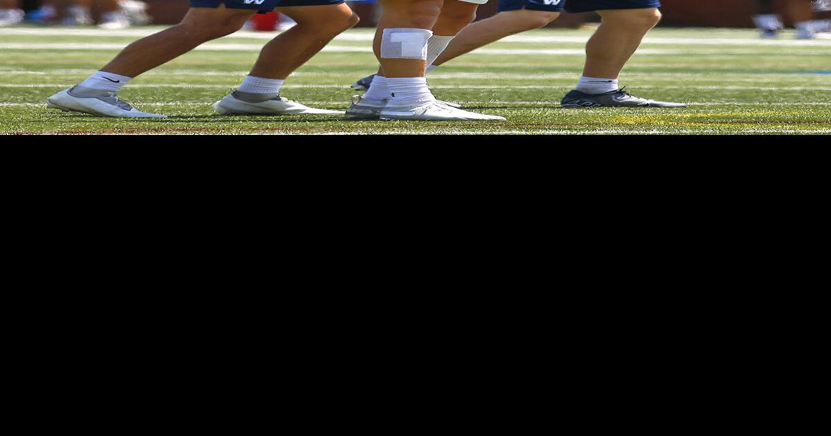 Bears whip Wingate; LR lacrosse headed to national title game