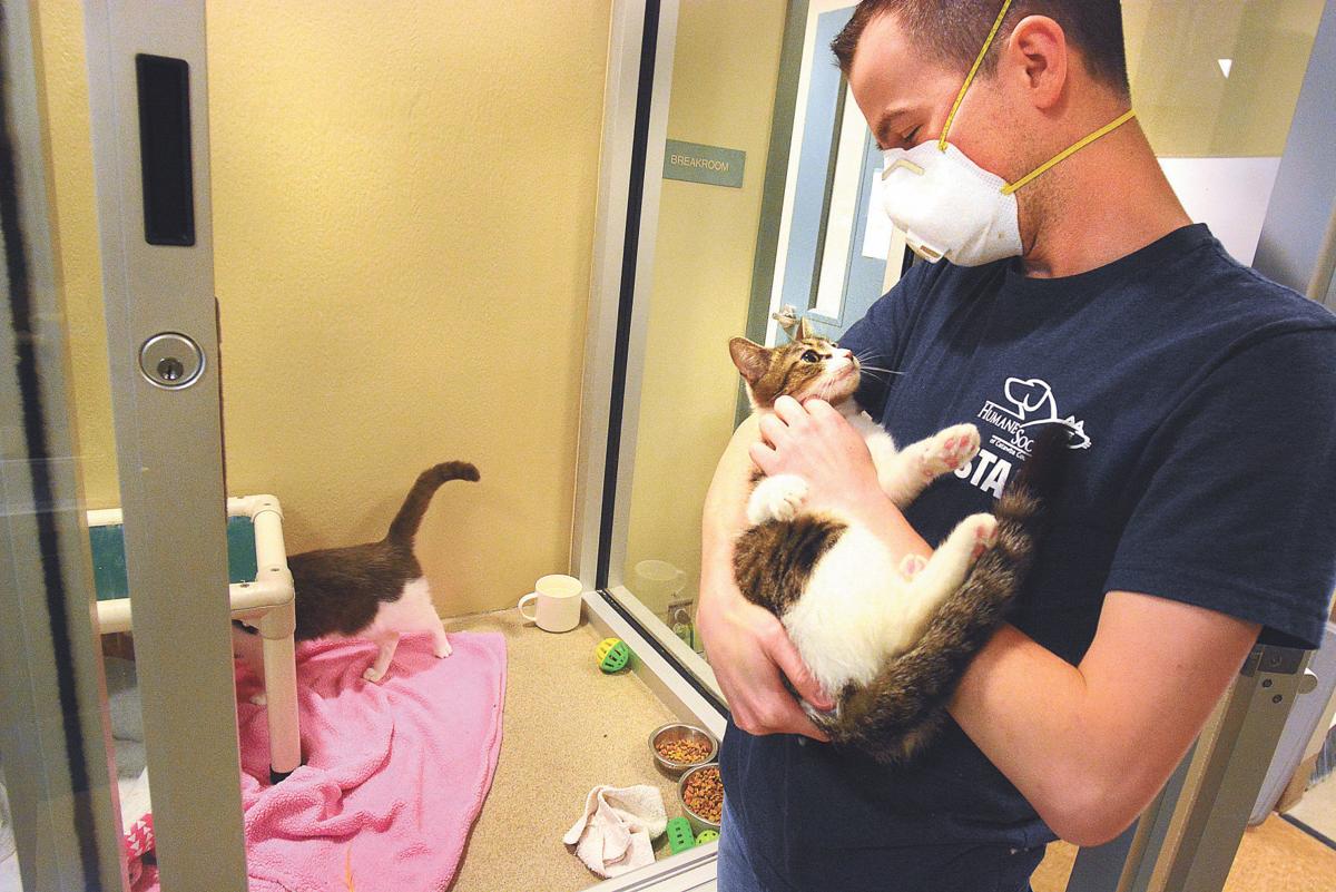County Resumes Control Of Animal Shelter Humane Society Out Latest county-resumes-control-of-animal-shelter-humane-society-out-latest