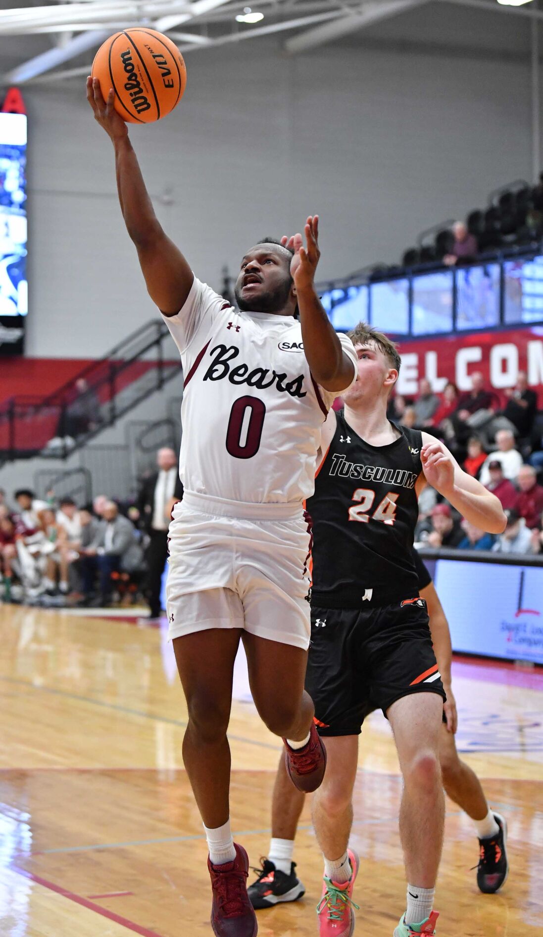 Lenoir-Rhyne basketball in Hickory NC is in DII Sweet 16