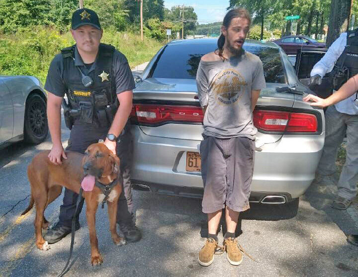 Man flees from deputies in Alexander County; charged with assaulting ...