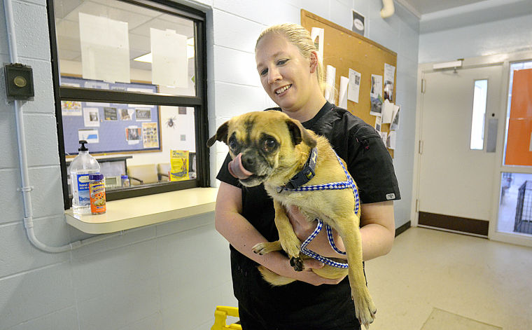 ANIMAL HOUSE: Catawba County's new shelter includes partnership between ...
