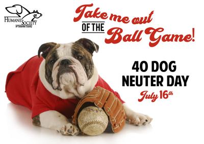 Buzz Briefs: Humane Society prepares for “40 Dog Neuter Day”