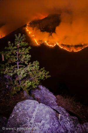 Table Rock fire