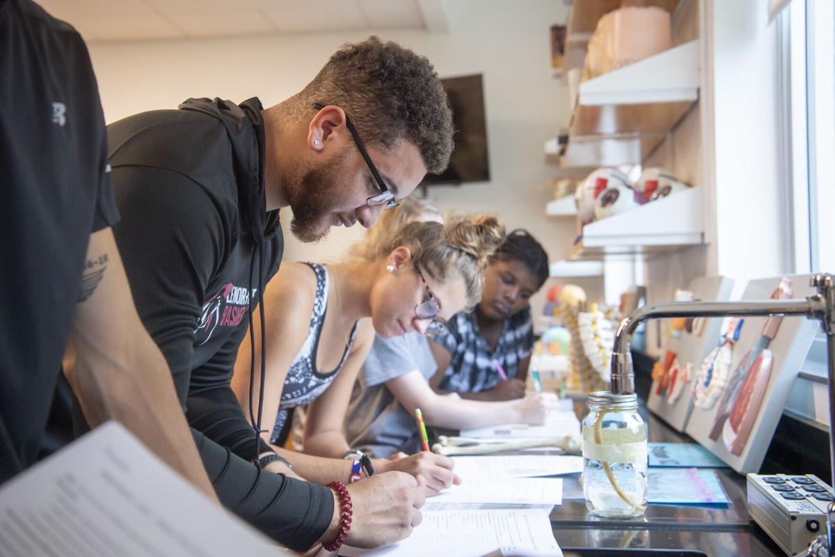 Lenoir-Rhyne University in Hickory NC adds academic programs