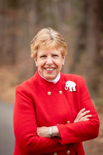 NCGA 45th district senate race: Hollo vs. Meek