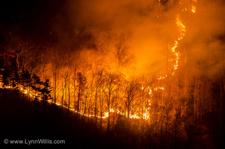 Table Rock fire