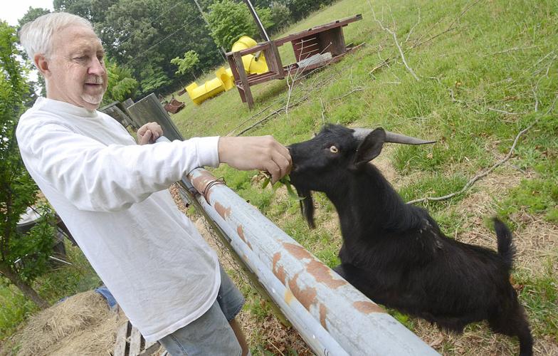 Sheriffs from two counties investigate goat rustling