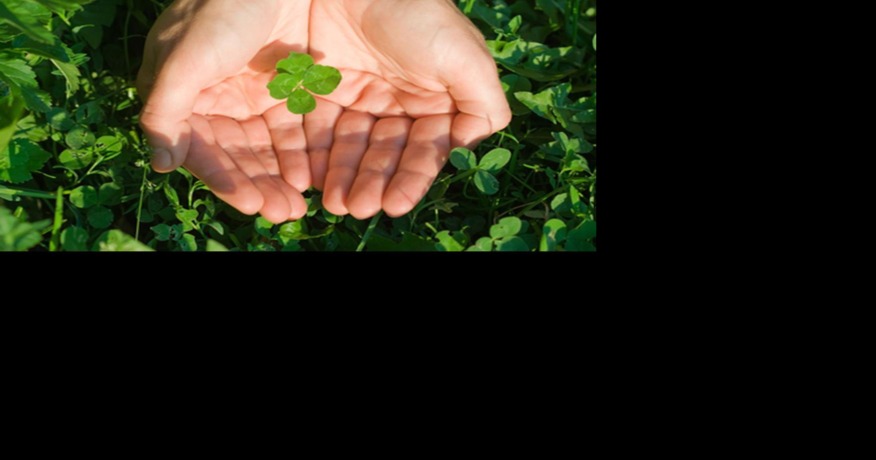 Column: Use clover to fertilize grass