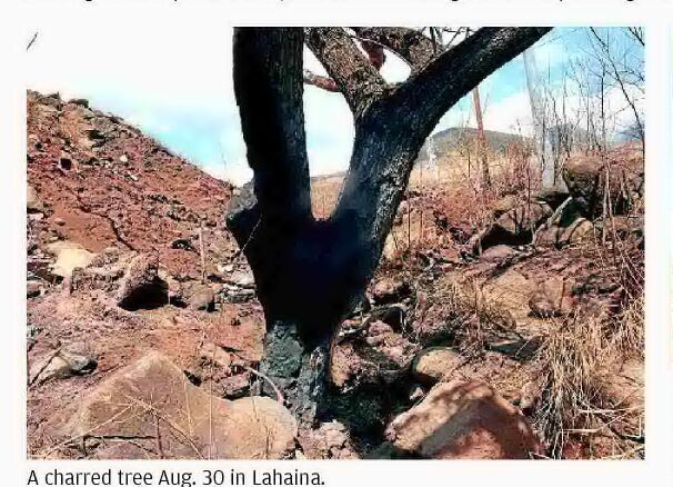 MAUI'S INFERNO MYSTERY