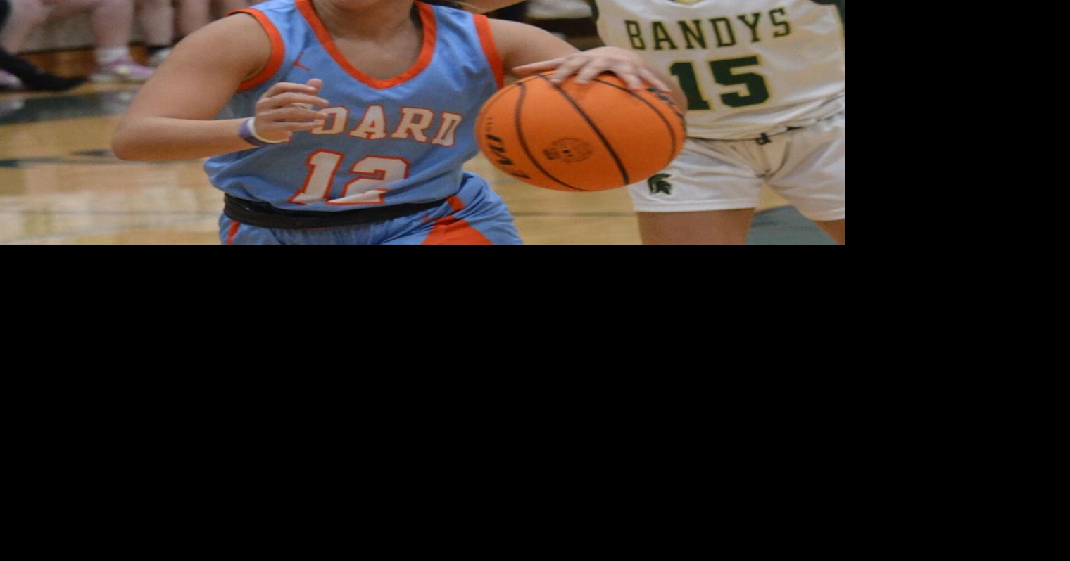 GALLERY: Fred T. Foard at Bandys girls basketball