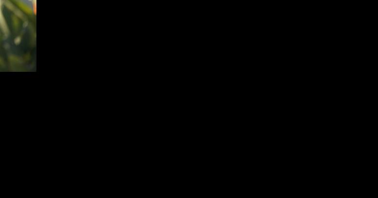 Real estate firm welcomes Sarah Devenney