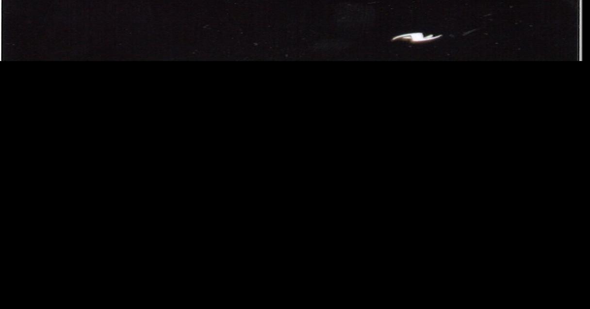 John Thomas Spinelli | Obituaries | highcountryspotlight.com