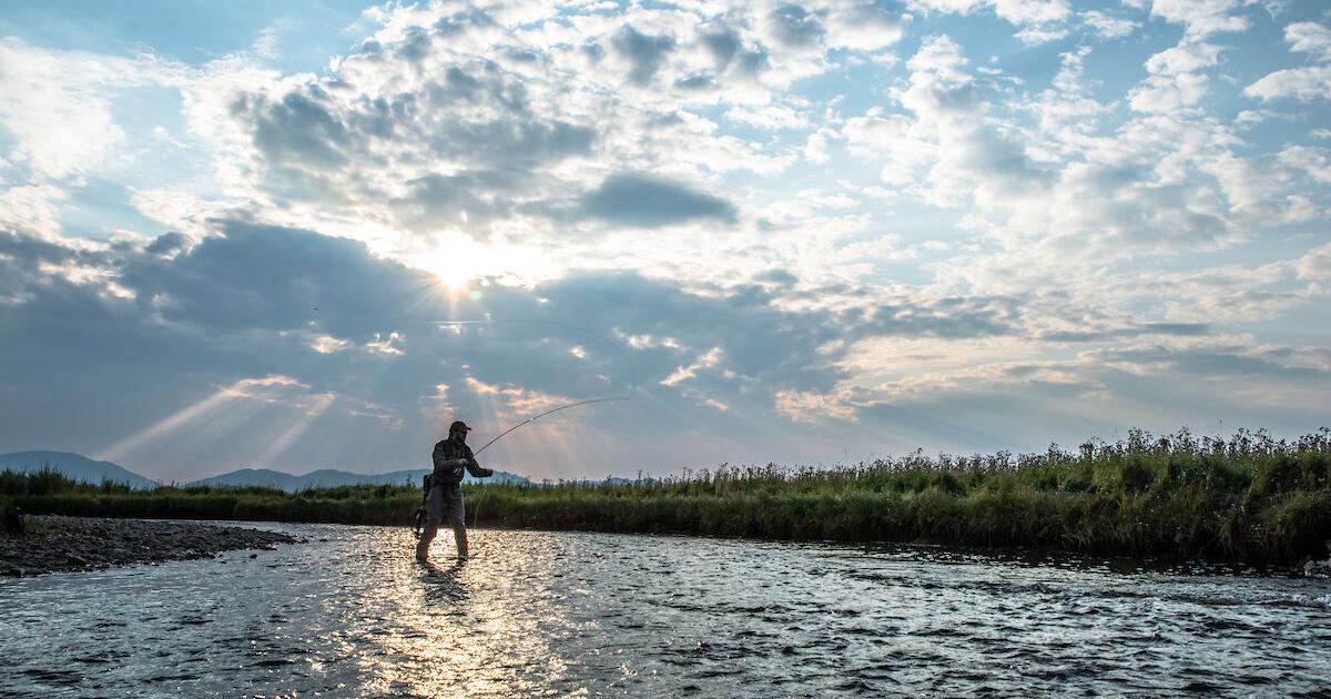 Colorado 2023-2024 fishing licenses are now available | Community ...