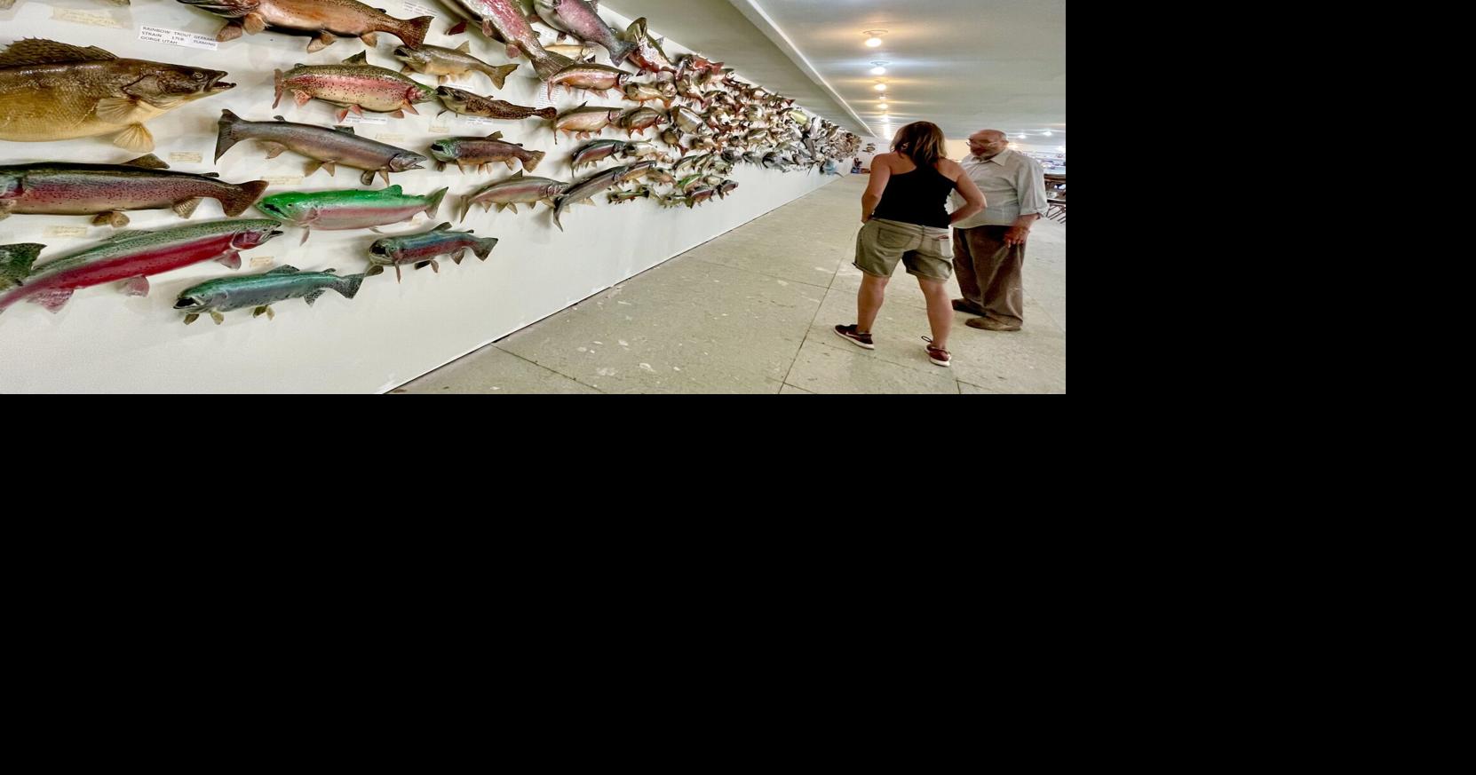 Del Canty and the Fantastic Fish Barn | Spotlight ...