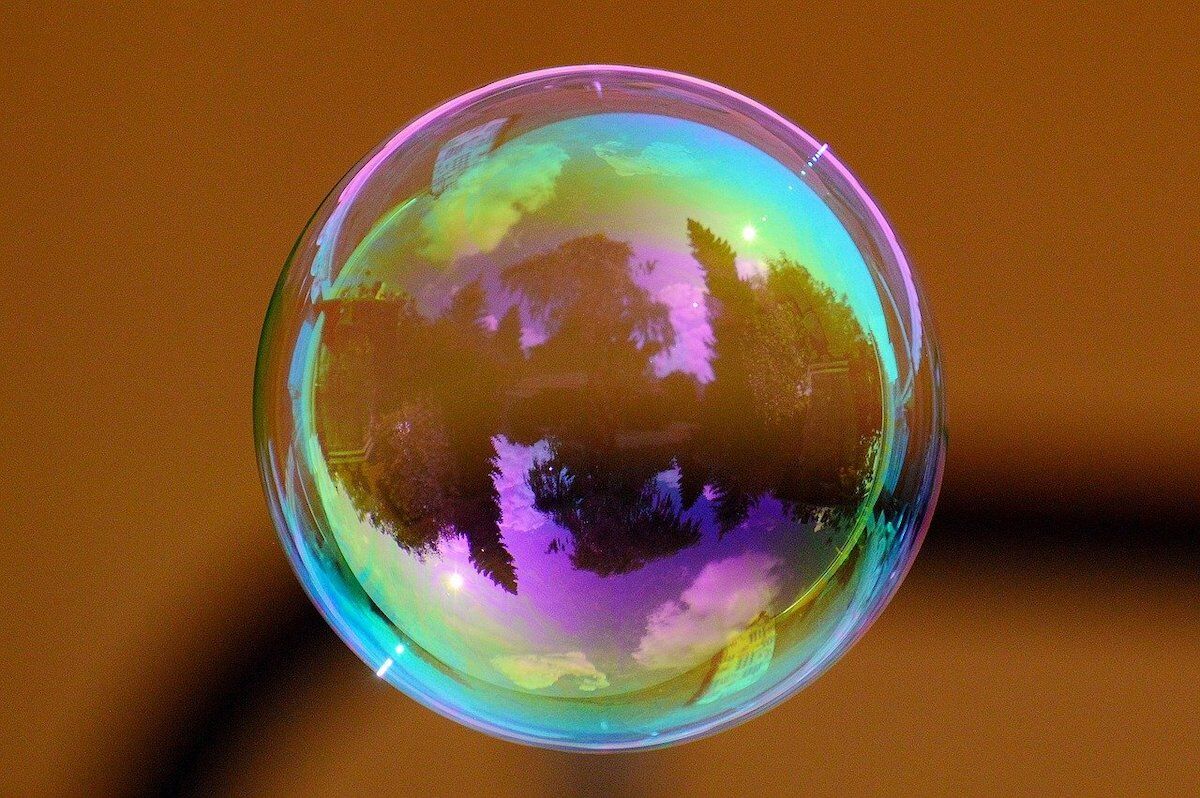 Thoughts from the High Country: Life in the Bubble | Thoughts ...