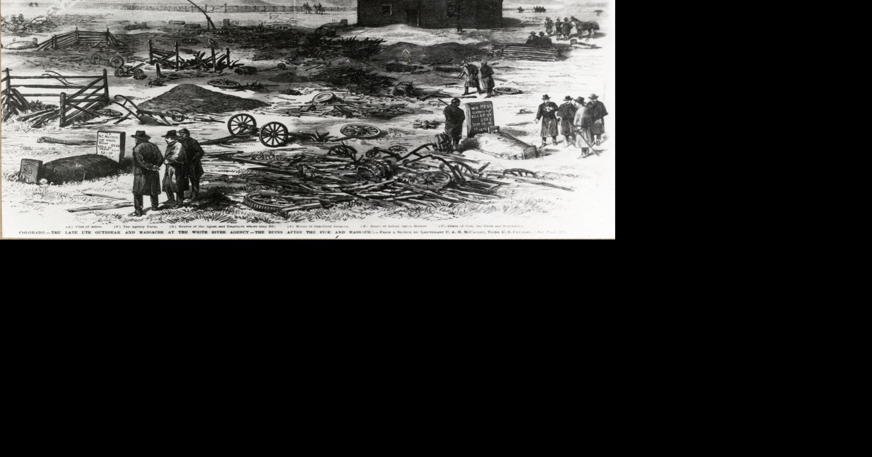 The Surrender Tree – Last Stand | Spotlight | highcountryspotlight.com