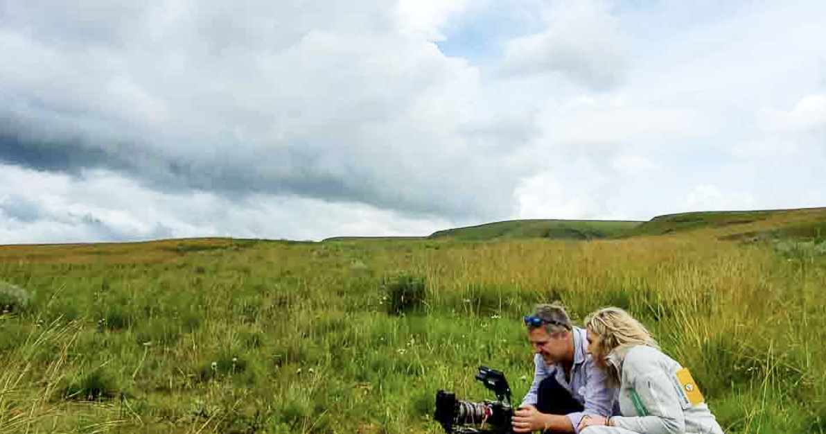 Local Faces: Haley Jackson — Adventurer and Storyteller at Home in ...