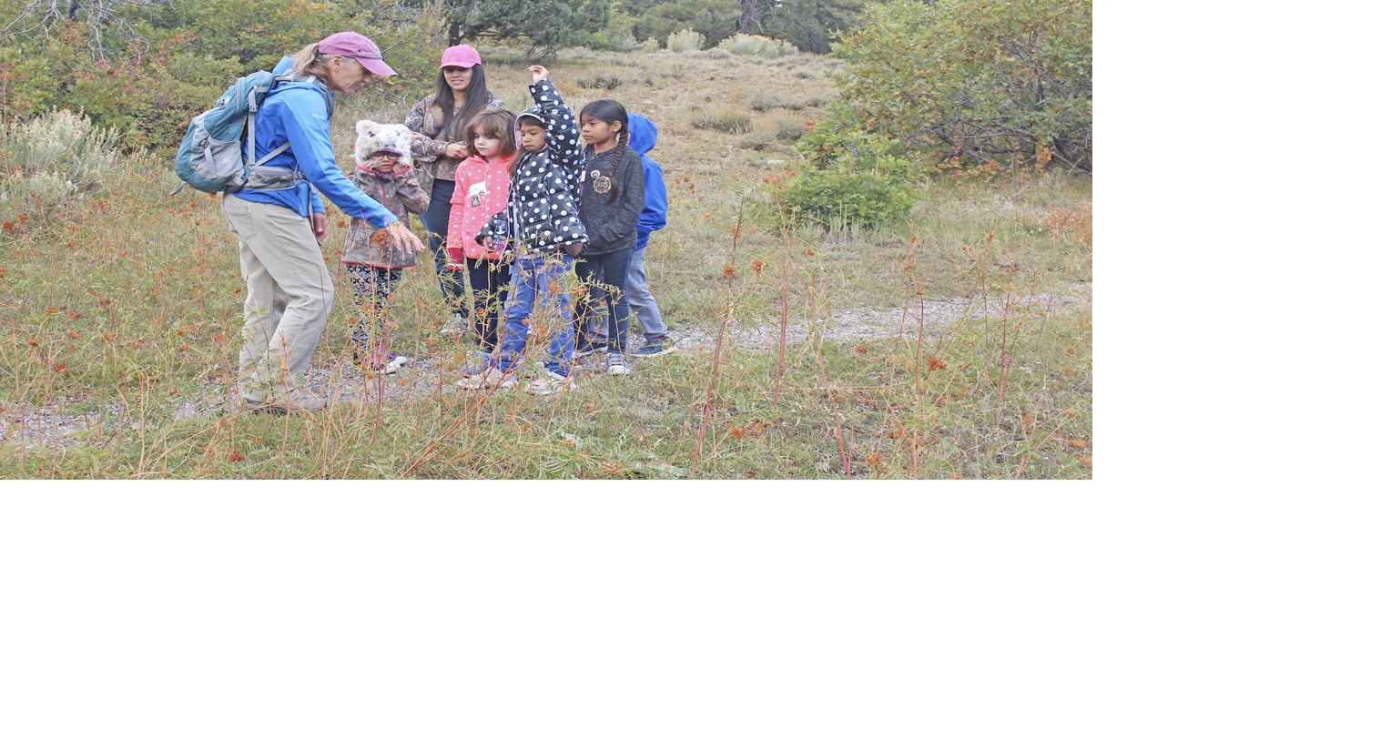 Dave Wood – the Man, the Road and the Nature Trail | Community ...
