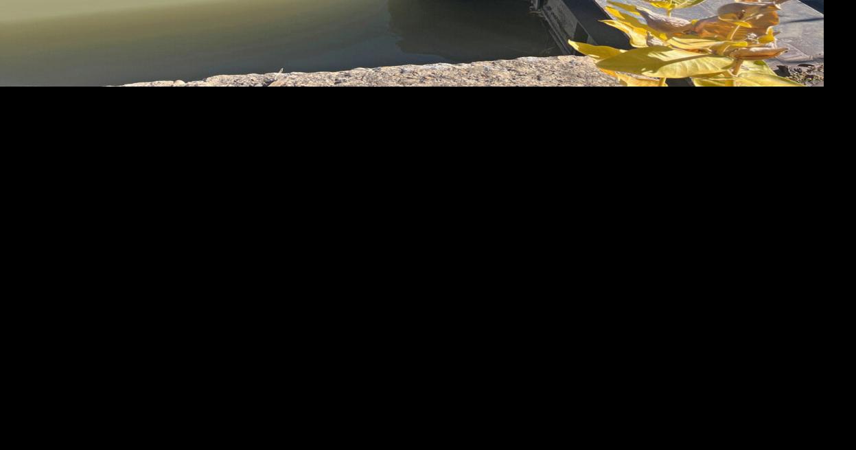 Collaboration – Making Ditch Diversion Projects a Reality | Spotlight ...