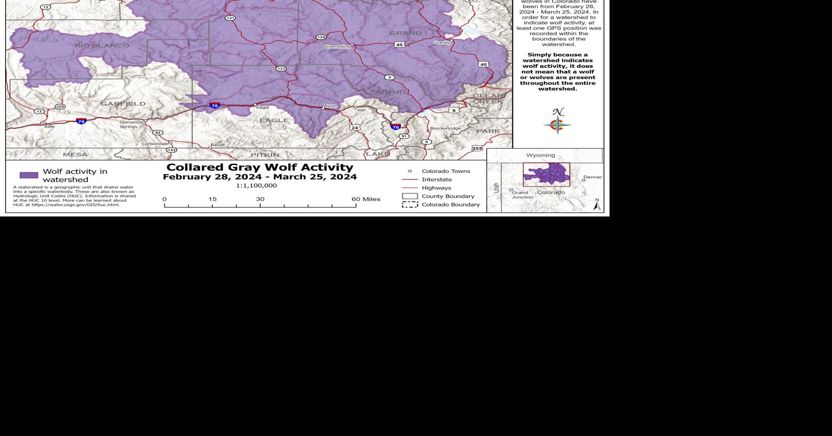 CPW Collared Gray Wolf Activity Map — Update | Community ...