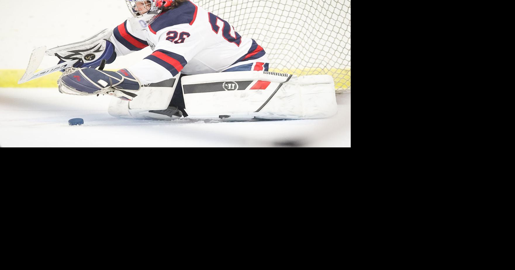 Ice Dawgs drop back-to-back games on the road in Dickinson | Sports ...