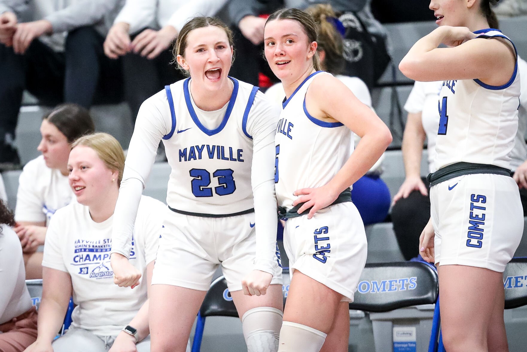 Comets open NAIA national tournament facing Lady Lions from Tennessee ...