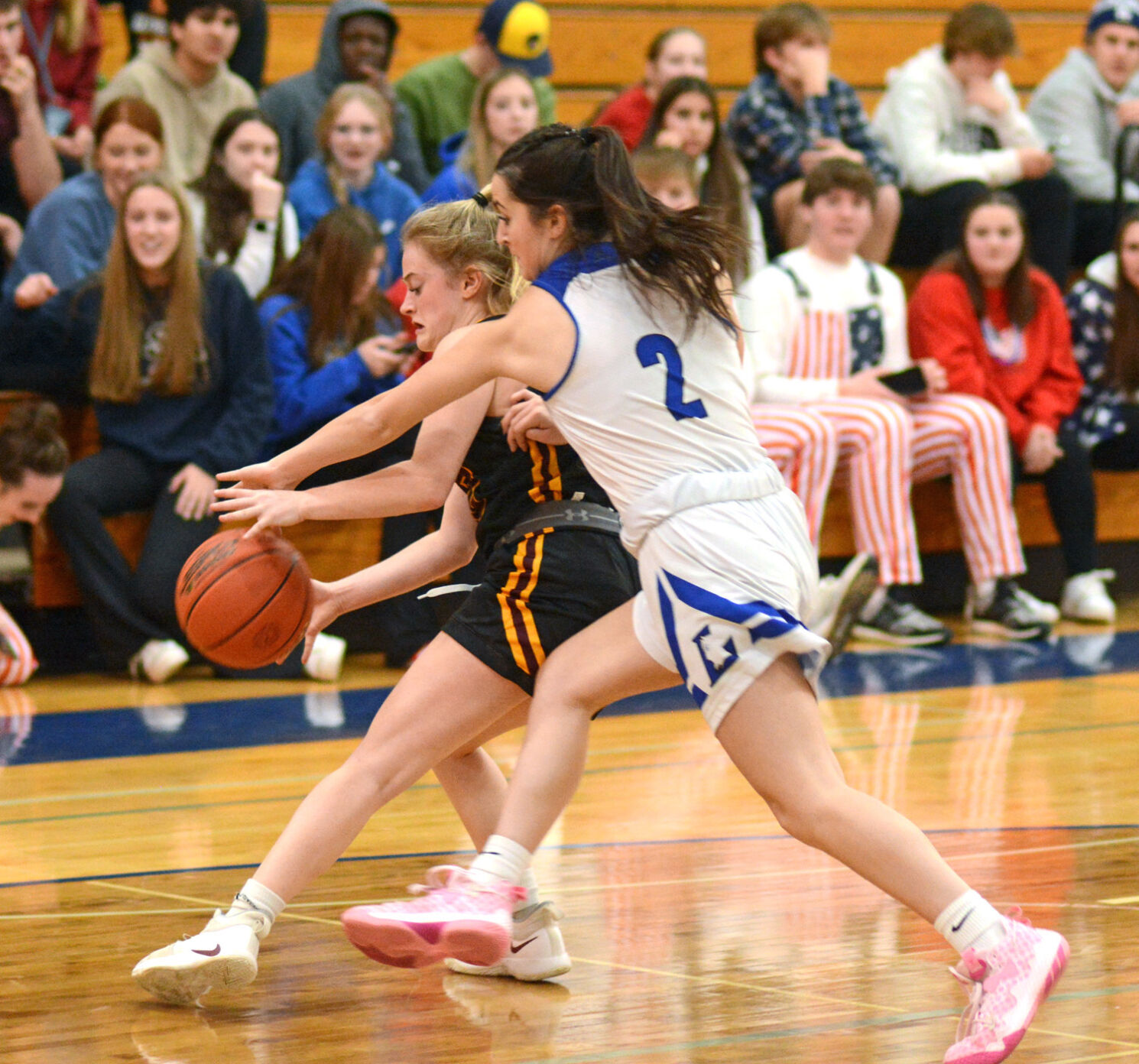 Girls basketball: Lodi steals a win from Waterloo | Sports | hngnews.com