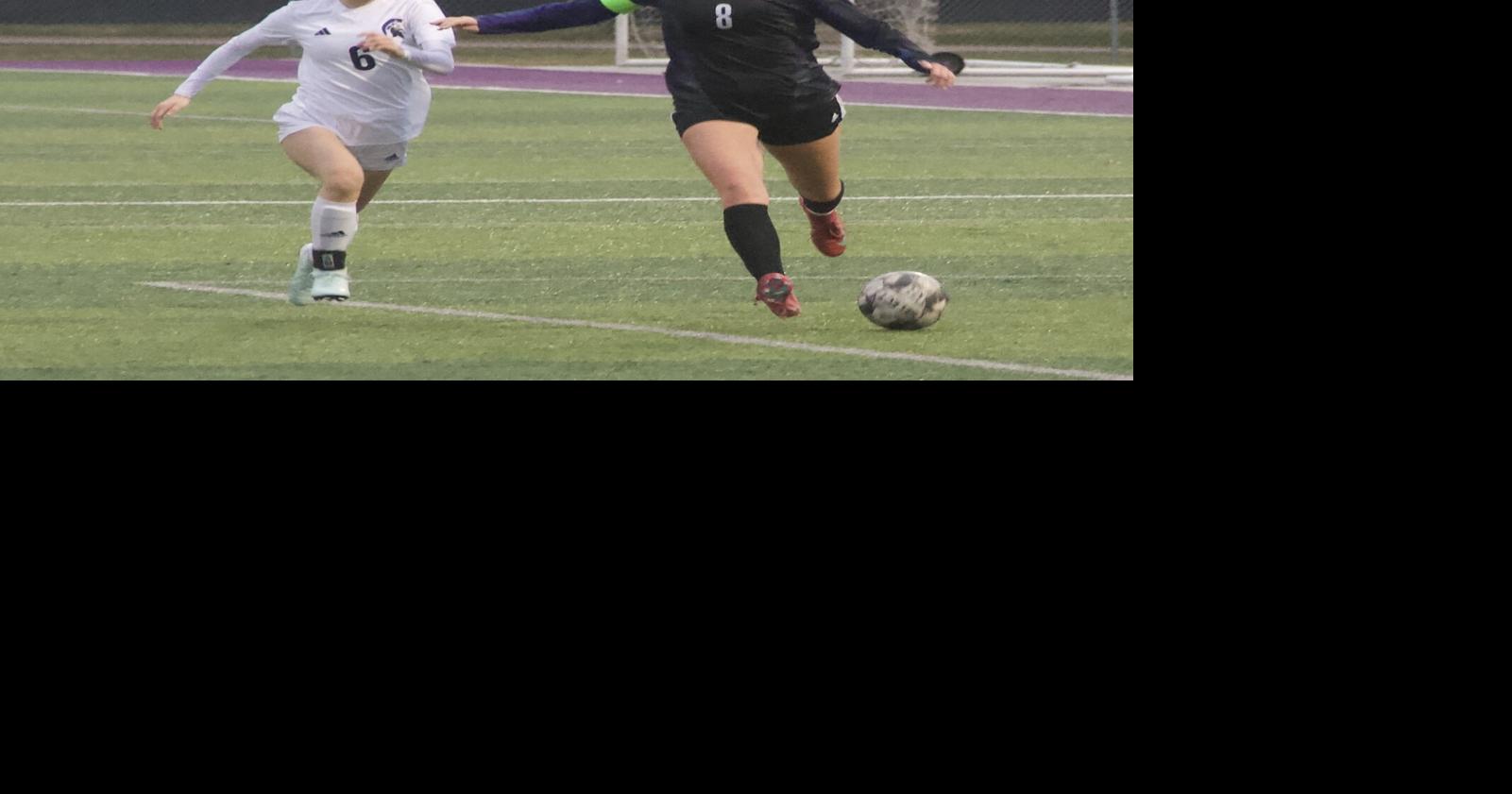 Soccer: Waunakee’s Brooke Nelson earns All-State recognition, caps ...