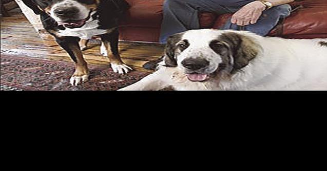 Family, friends fondly remember media literacy advocate Nancy McMahon ...