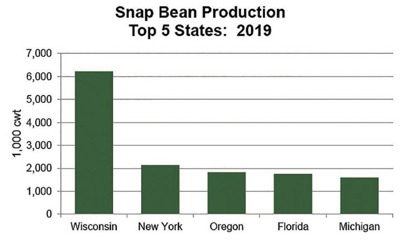 Wisconsin tops in 2019 snap bean production | News | hngnews.com