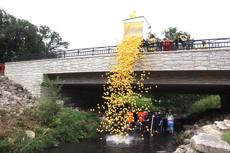 Lodi's Susie the Duck Day 2022 duck race | Local | hngnews.com