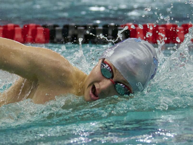 Wolves return to boys swim state meet | Sun Prairie Star | hngnews.com