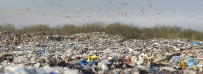 Wisconsin landfill study finds lots of wasted food | State | hngnews.com