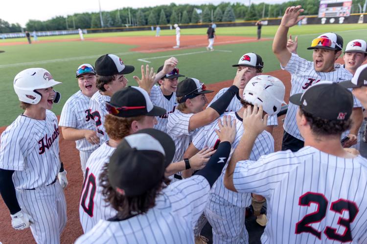 Baseball: Red Hawks land players on WBCA All-District Teams | Milton ...