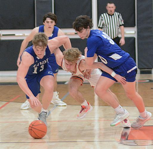 Boys basketball: Lodi sweeps season series with Pumas | Sports ...