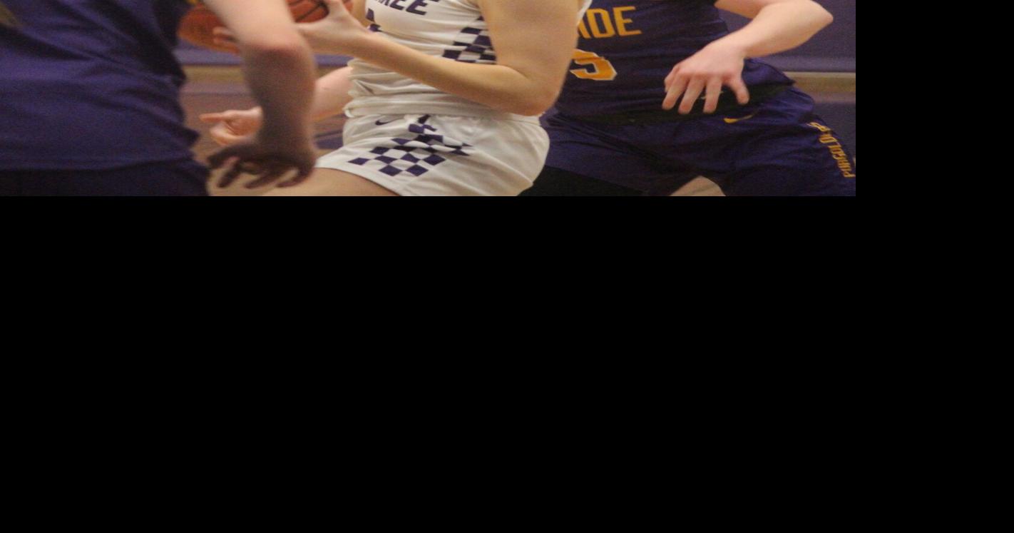 Basketball: Bryan sets season scoring record, Warriors win regional ...