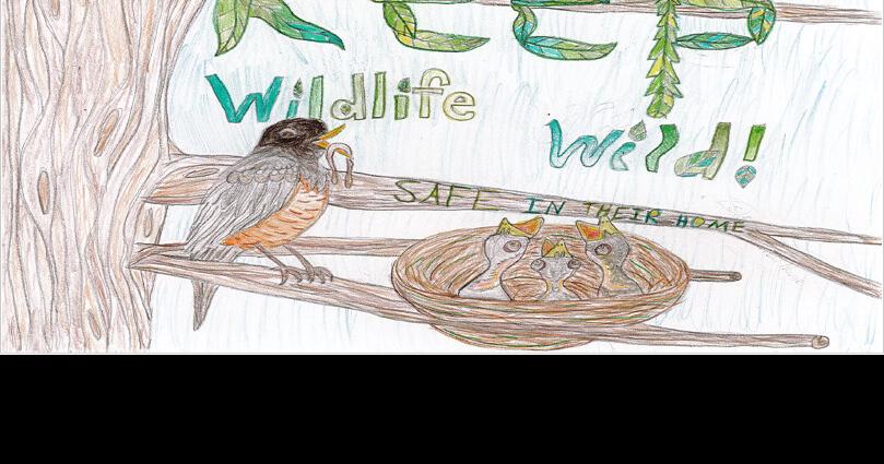 Sun Prairie student's poster places in DNR contest | Local | hngnews.com