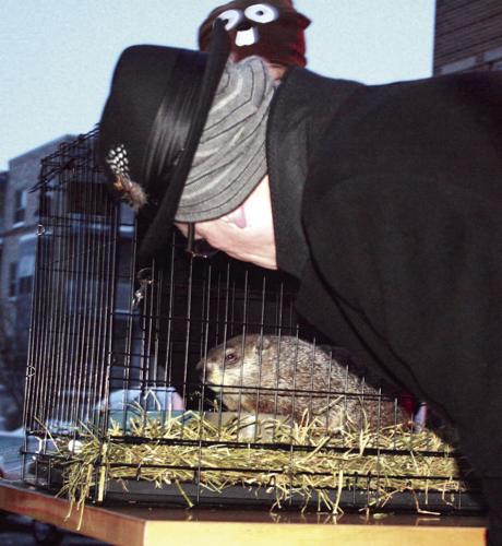Hundreds attend downtown Groundhog Day ceremony | News | hngnews.com