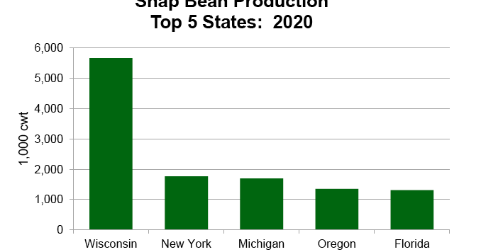 USDA: Wisconsin tops in snap beans, third in sweet corn for 2020 ...